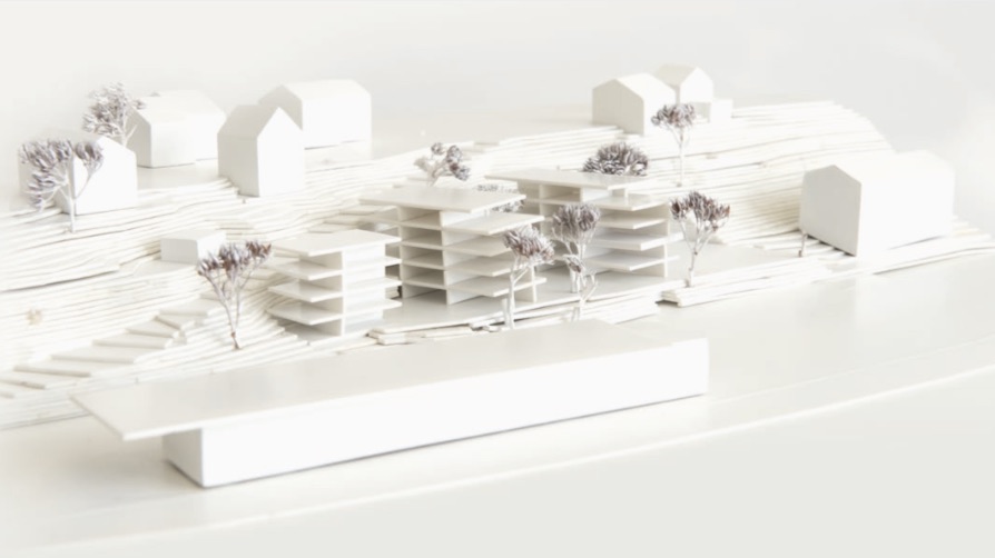 Friedberg Model Haag And Wild